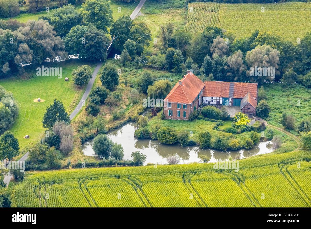 Meadows and fields in norddinker in uentrop district in hamm hi-res ...