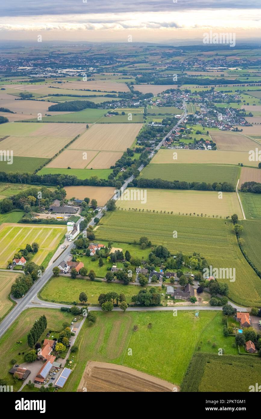 Aerial view, meadows and fields at Werler Straße B63 near Hilbeck in ...