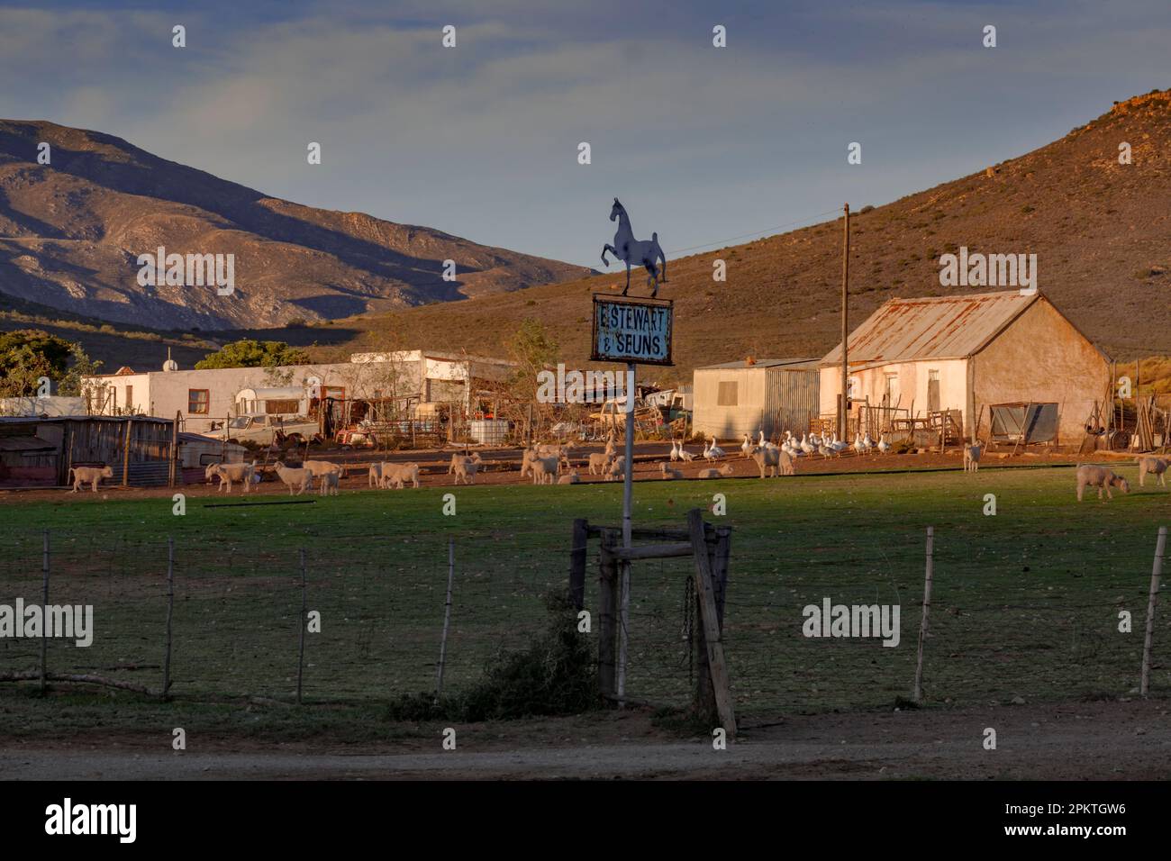 The last afternoon light falls across the Steward Family farm outside ...