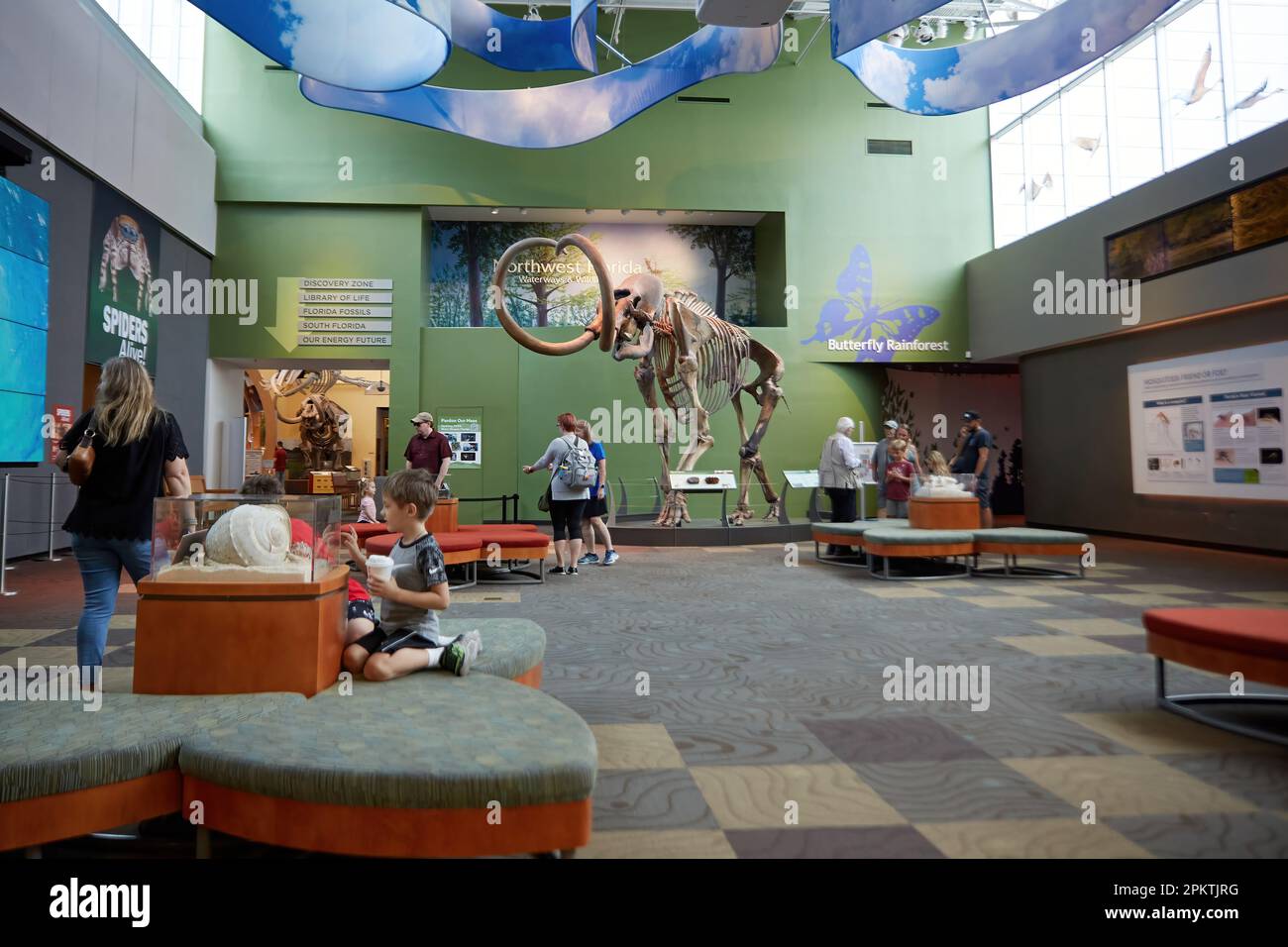 Gainesville, FL, USA. April 8, 2023: The Florida Museum of Natural ...