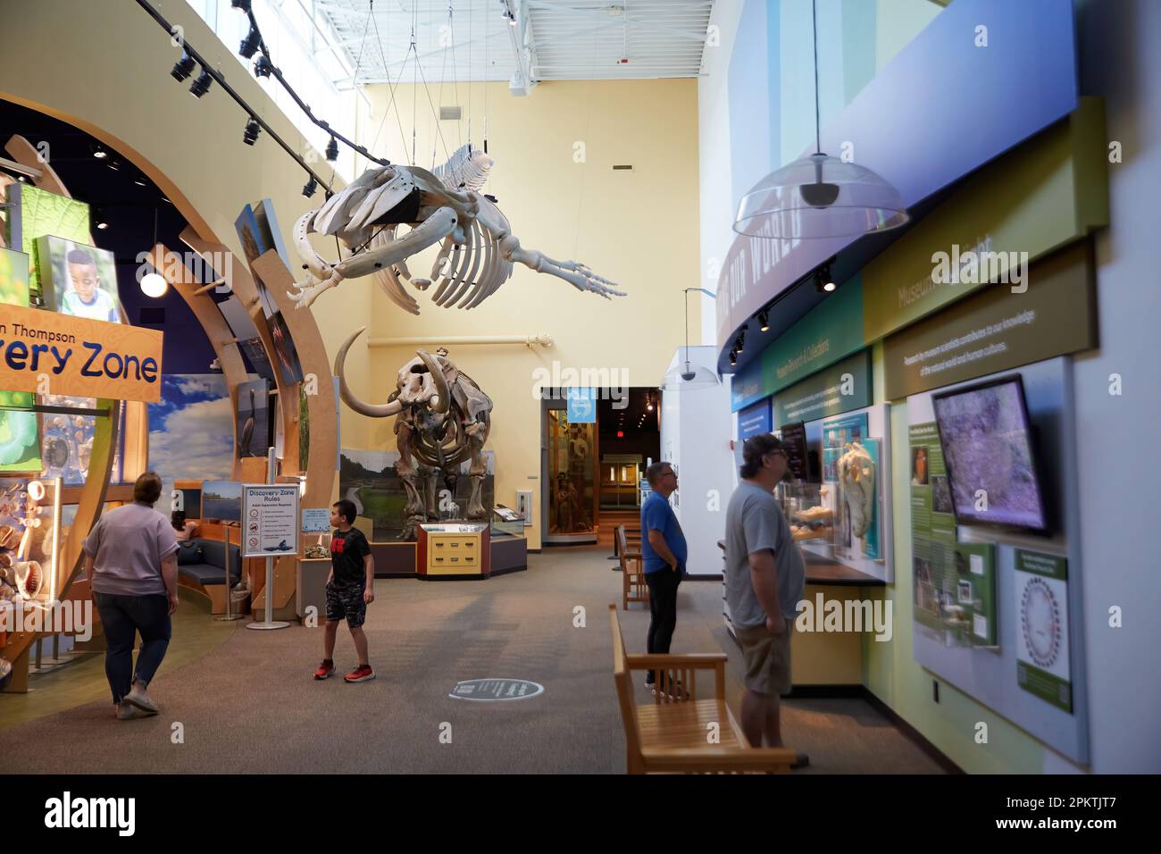 Gainesville, FL, USA. April 8, 2023: The Florida Museum of Natural ...