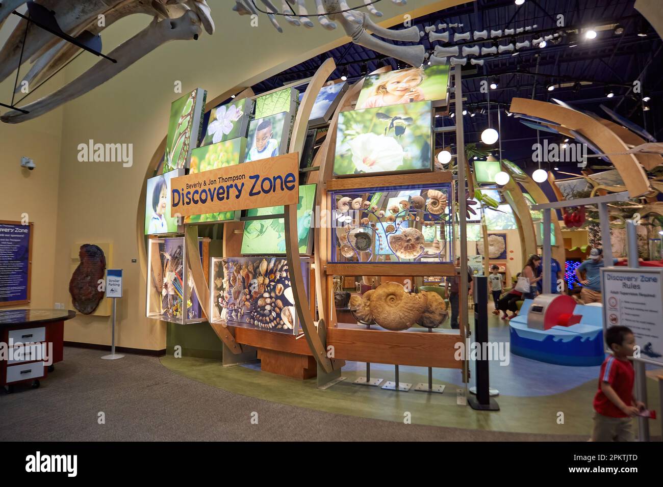 Gainesville, FL, USA. April 8, 2023: The Florida Museum of Natural ...