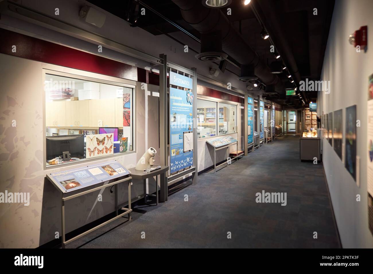 Gainesville, FL, USA. April 8, 2023: The Florida Museum of Natural ...