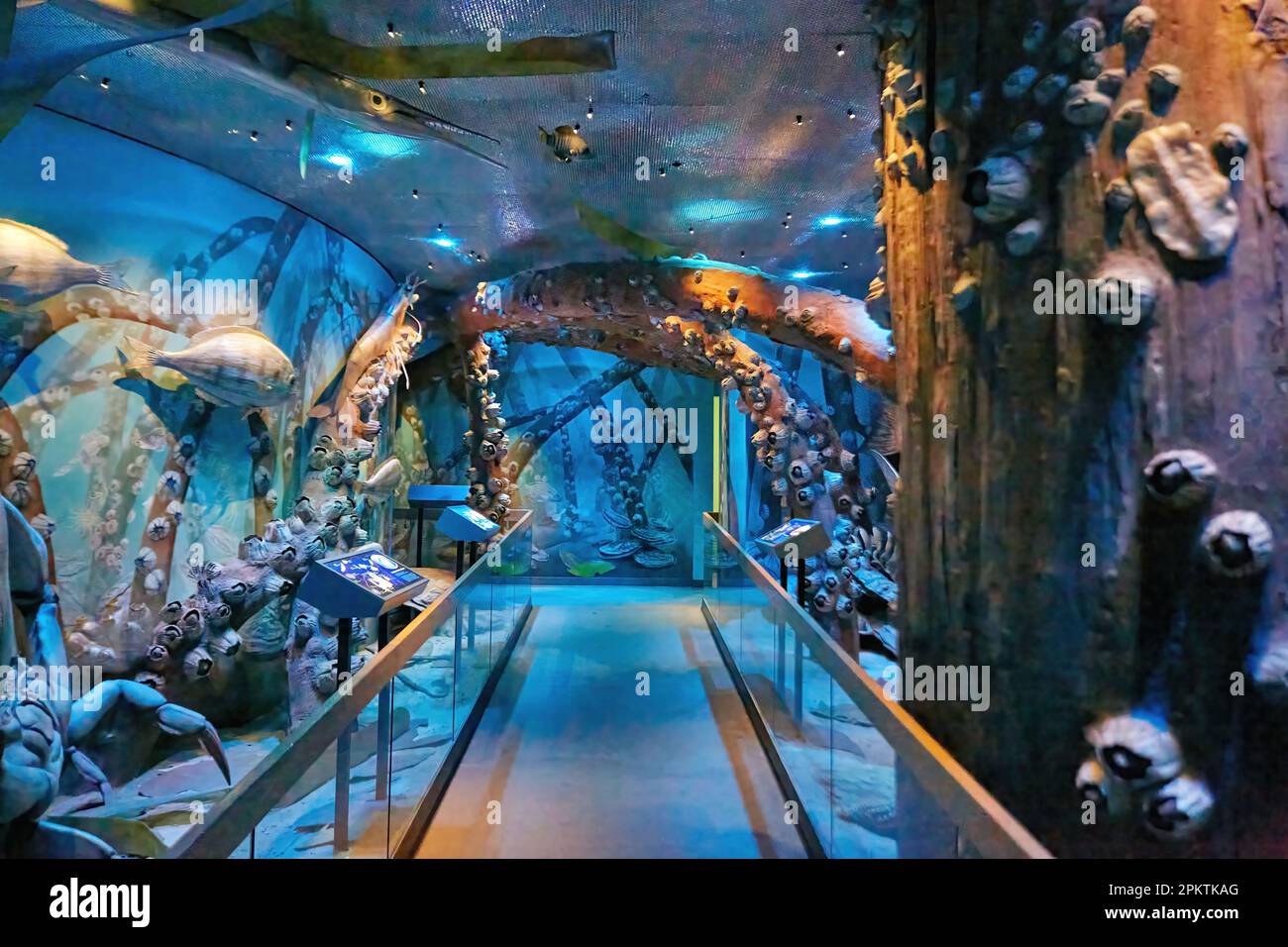 Gainesville, FL, USA. April 8, 2023: The Florida Museum of Natural ...