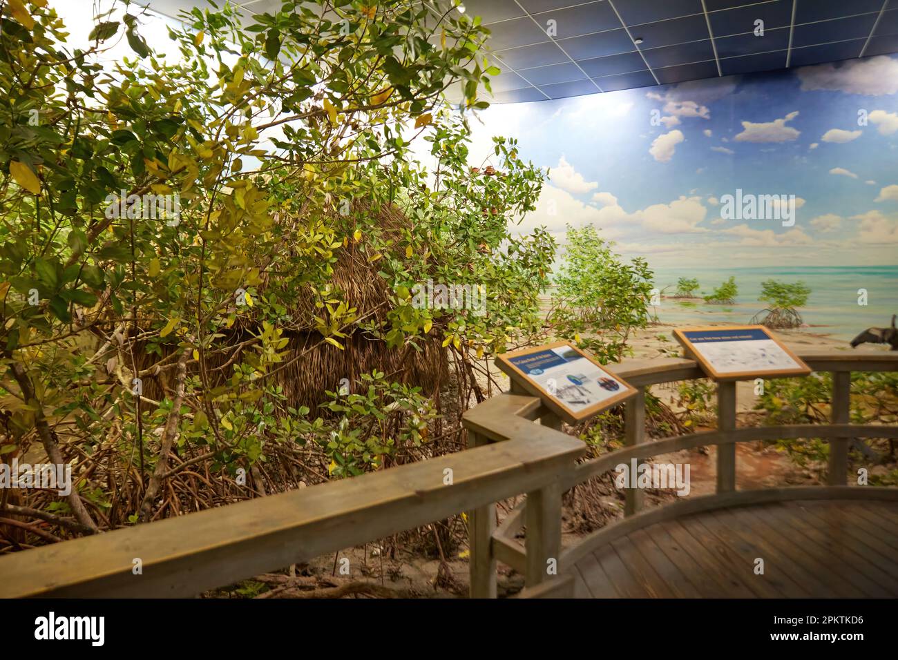 Gainesville, FL, USA. April 8, 2023: The Florida Museum of Natural ...