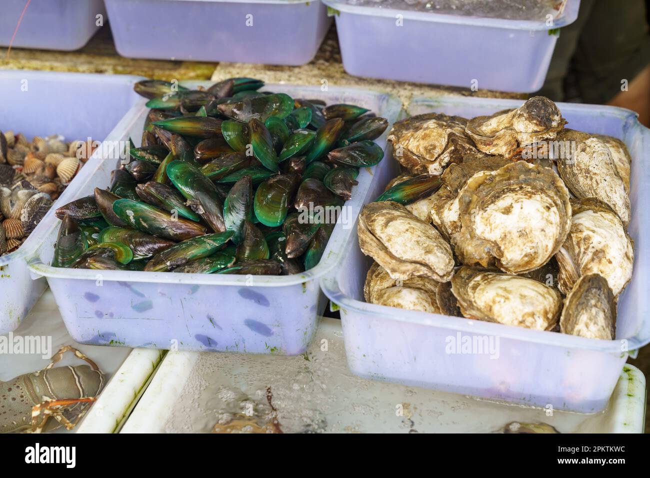 Fresh raw oysters seashells and black mussels for sale on fish market ...