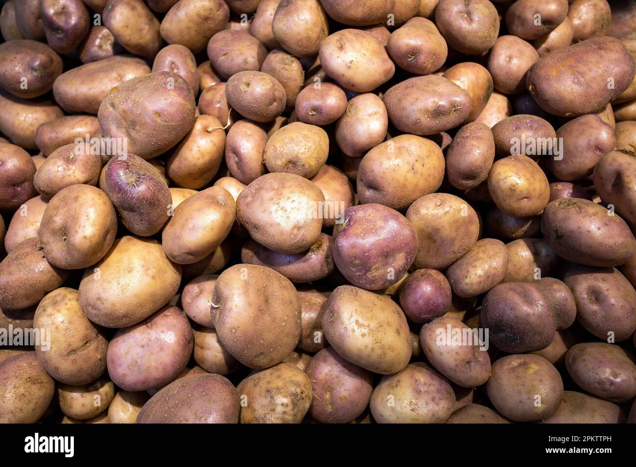 Papa solanum tuberosum hi-res stock photography and images - Alamy