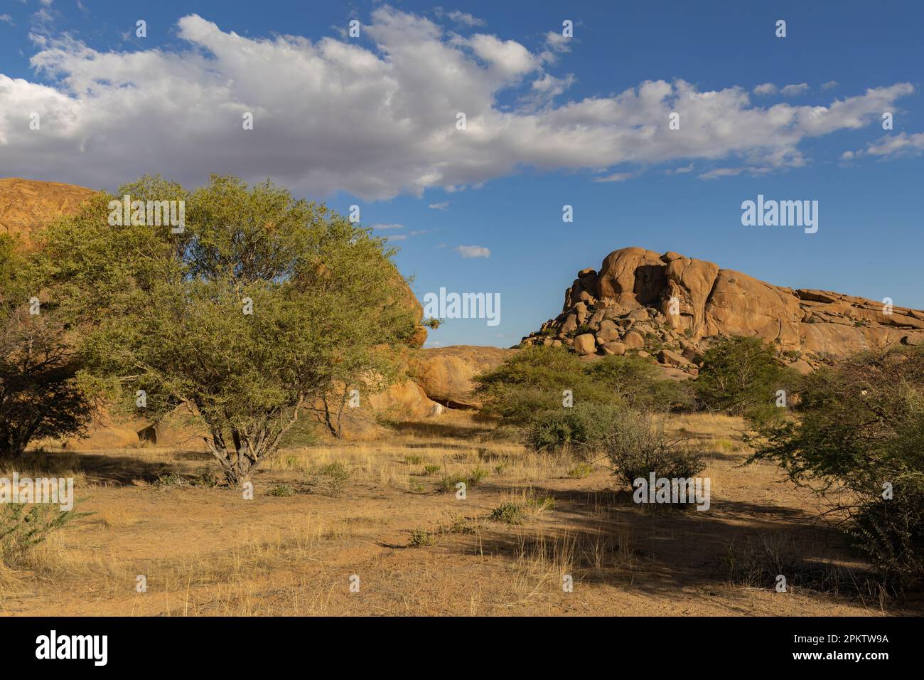 rock formation, called elephants head, in erongo region of namibia ...