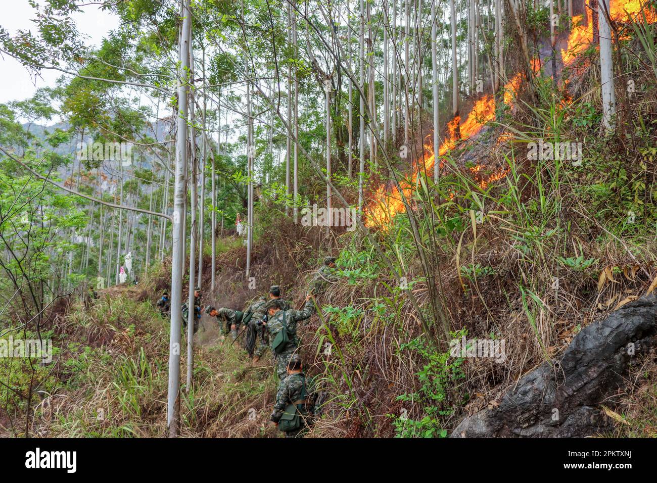 HECHI, CHINA - APRIL 8, 2023 - Armed police officers fight a forest ...