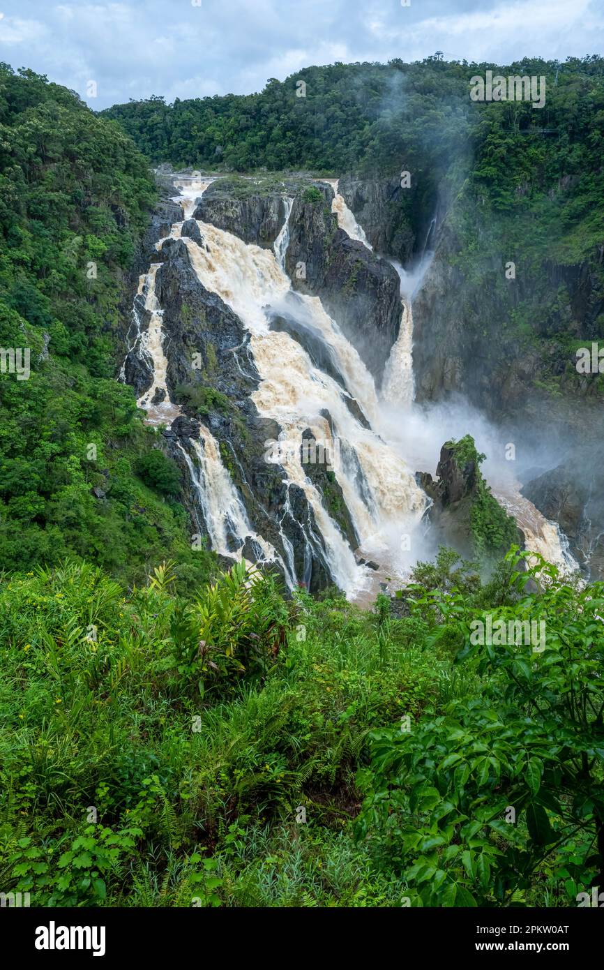 The mist covered Barron Falls cascading down the scenic chasm on the ...