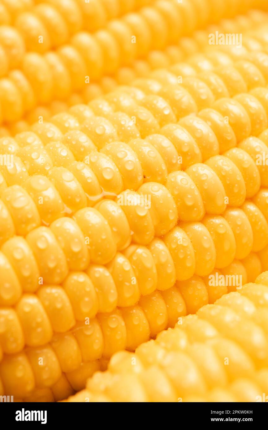 Wet corn cob texture background Stock Photo - Alamy