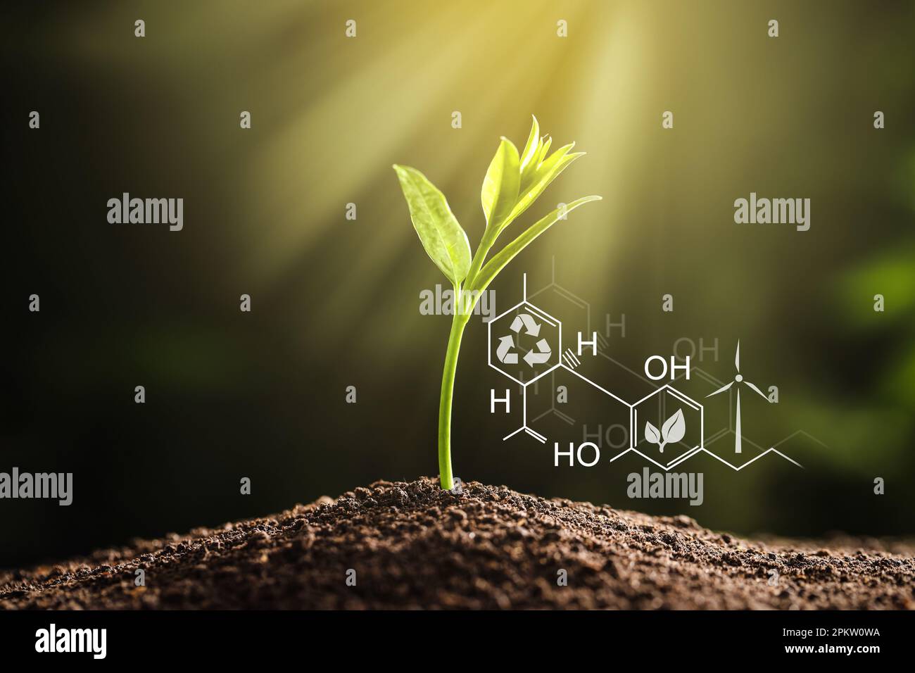 Illustration of chemical formula and young seedling growing in soil ...