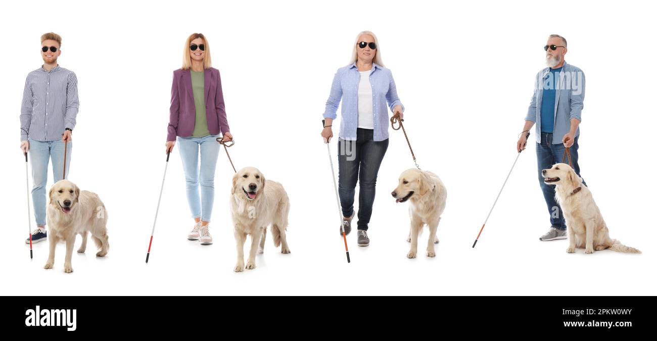 Blind people with long canes and guide dogs on white background. Banner ...