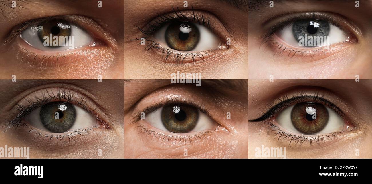 Collage with photos of people with beautiful eyes of different colors ...