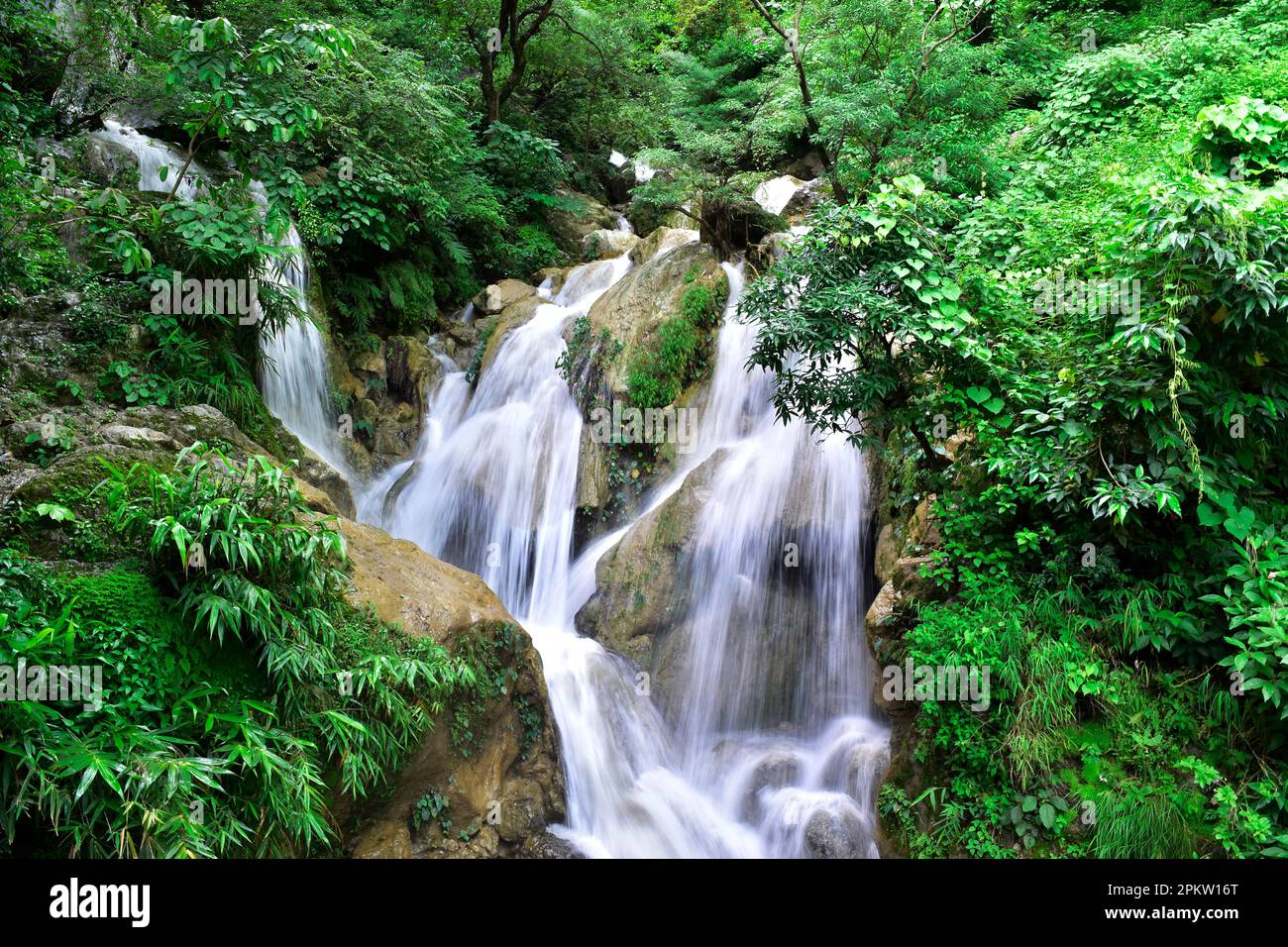 Water flowing from natural resources in forest Stock Photo - Alamy