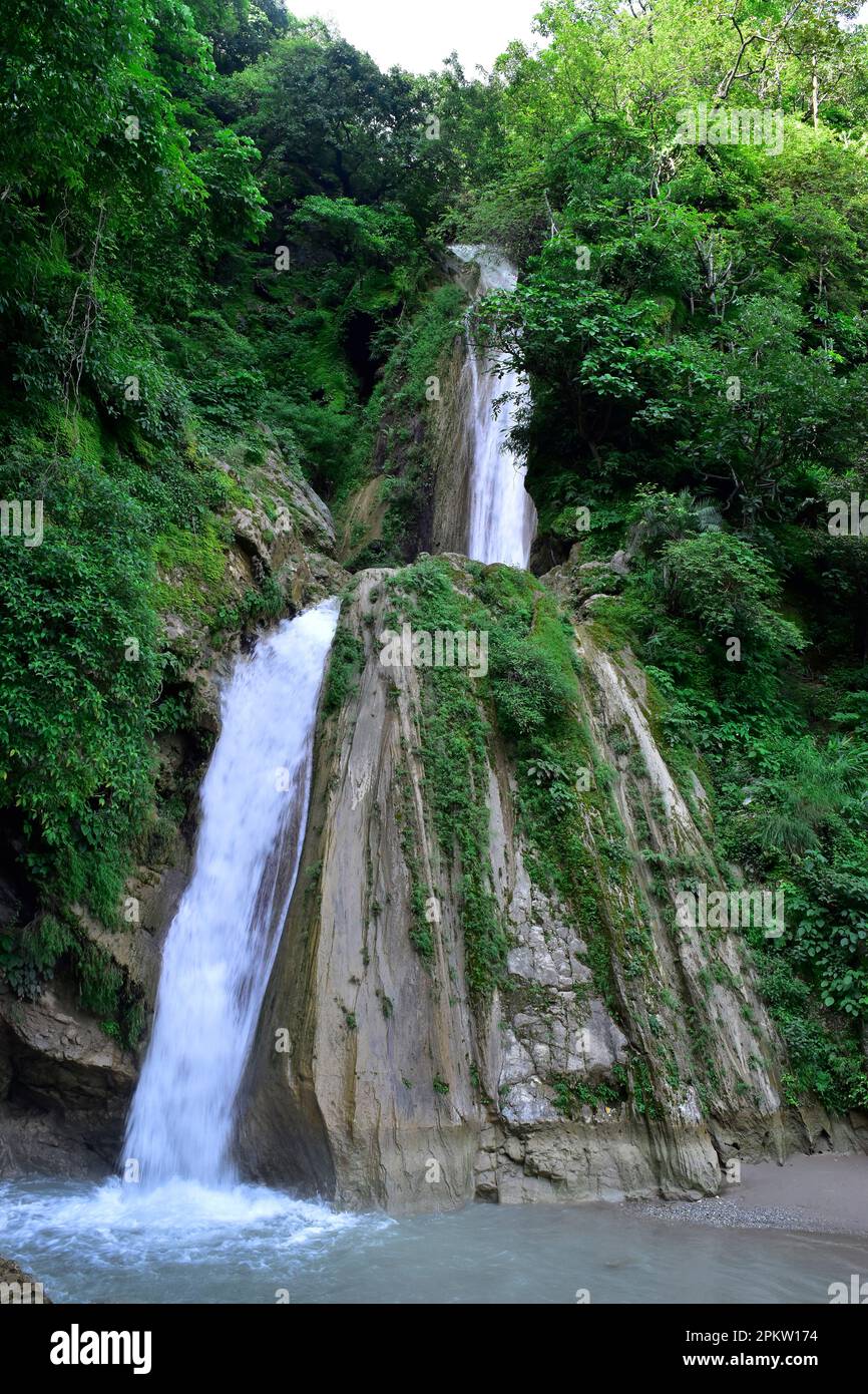 Natural resources of water in forest Stock Photo - Alamy
