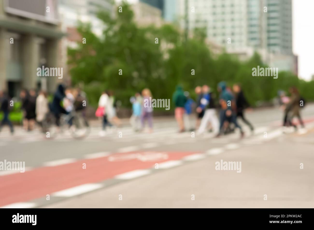Zebra walk cycle hi-res stock photography and images - Alamy