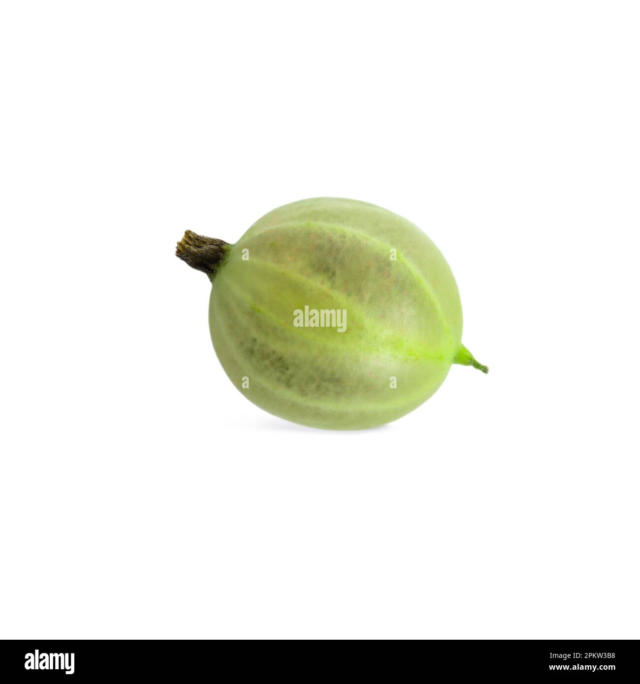 One fresh ripe gooseberry isolated on white Stock Photo - Alamy