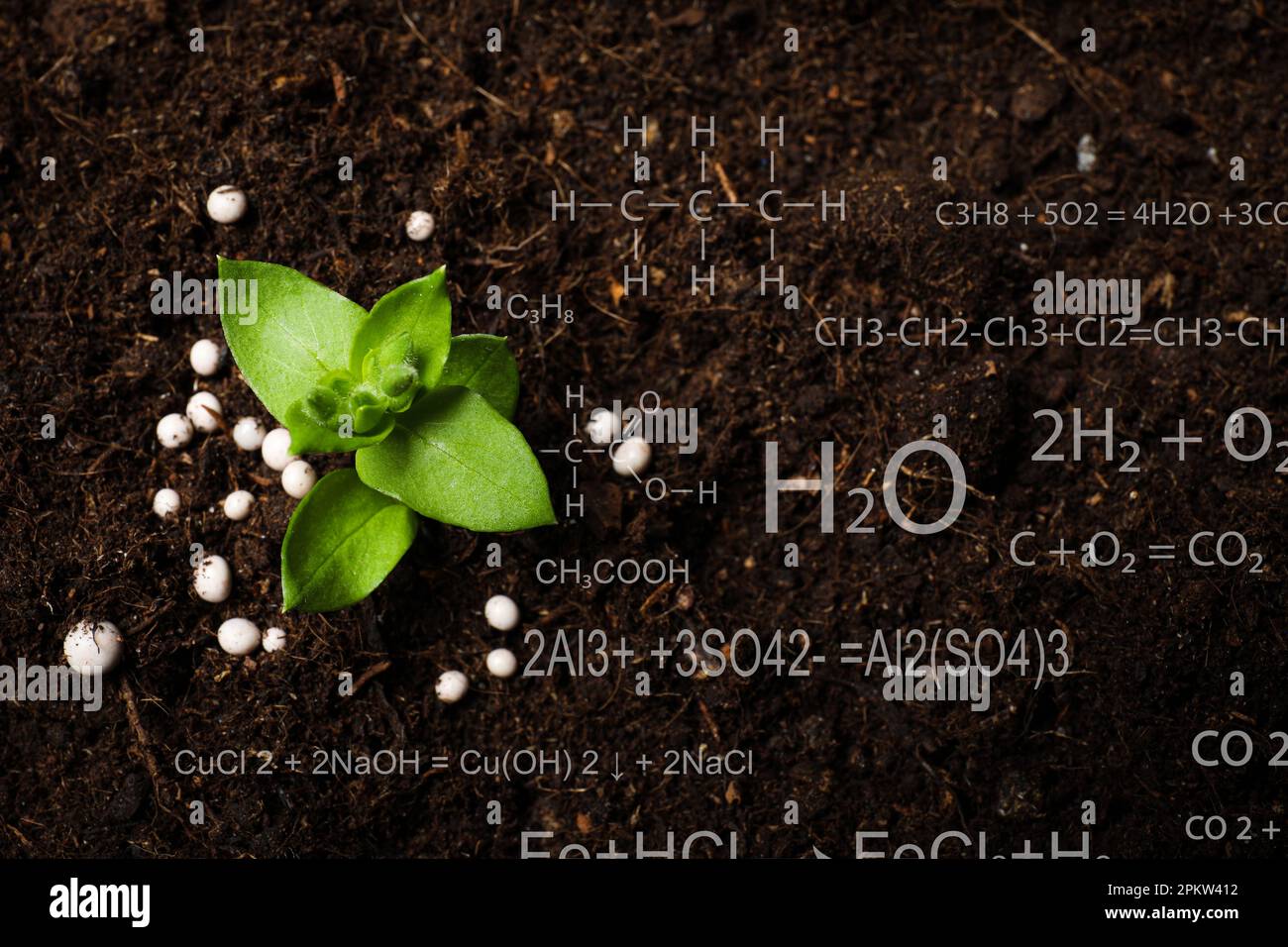 Illustration of chemical formulas and young seedling growing in soil ...
