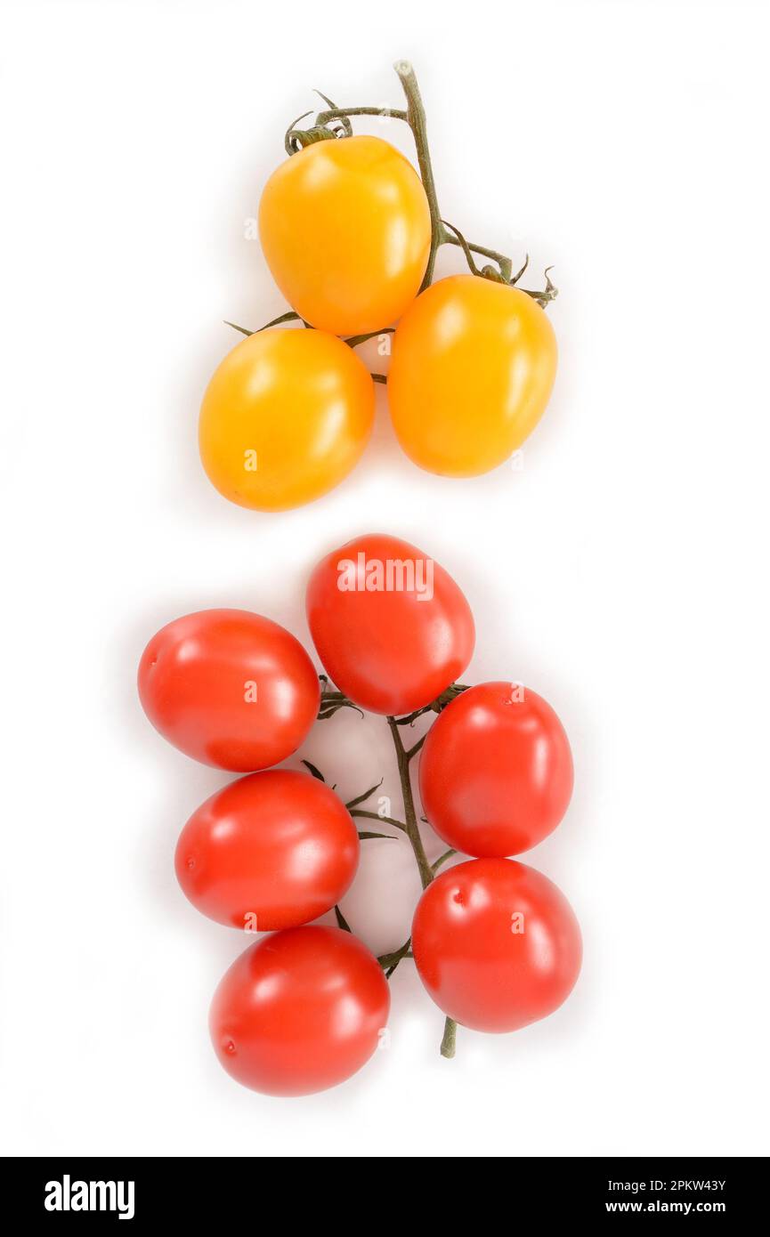 Duet Baby Romanella tomatoes are small egg-shaped multi colored ...