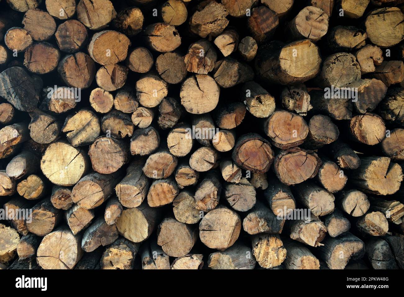 pile of wooden stump as background or texture Stock Photo - Alamy