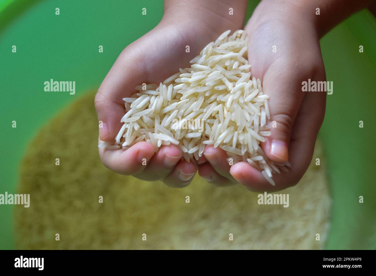 Hand holding rice isolated on blurred rice background Stock Photo - Alamy