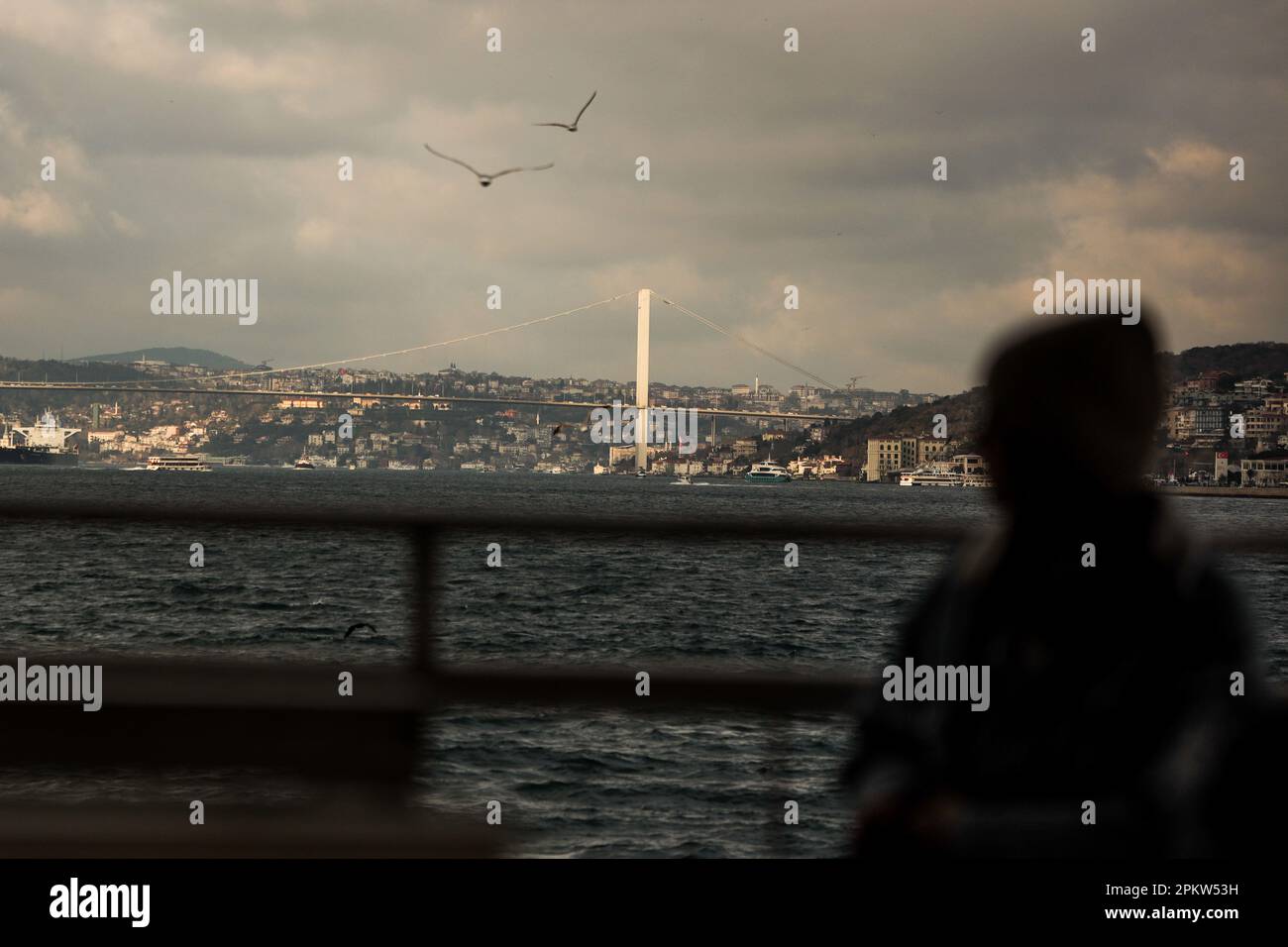 Istanbul, Istanbul, Turkey. 9th Apr, 2023. Seagulls are flying at the ...