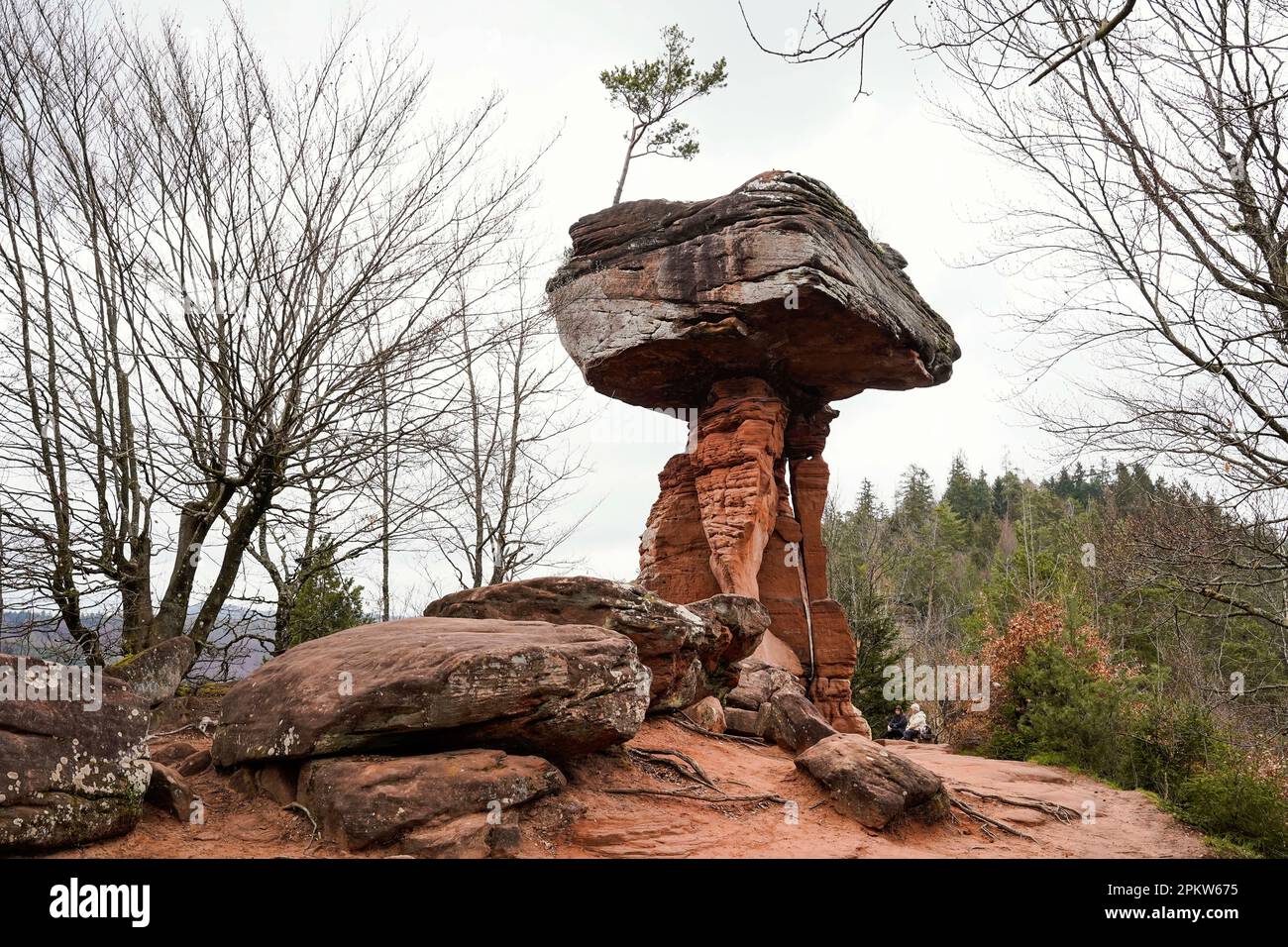 Hinterweidenthal, Germany. 07th Apr, 2023. The so-called "Devil's Table ...