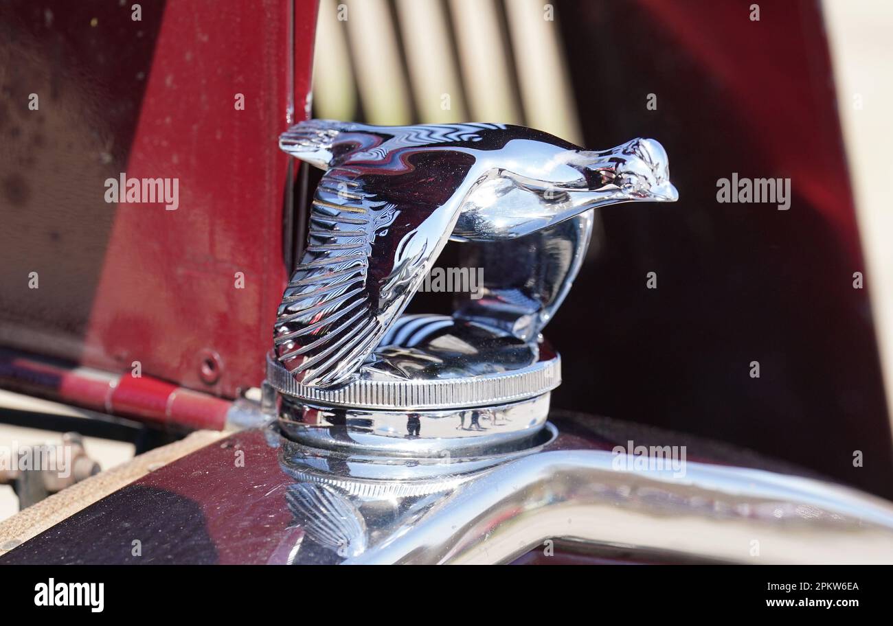 St. Louis, United States. 09th Apr, 2023. The hood ornament on a 1931 ...