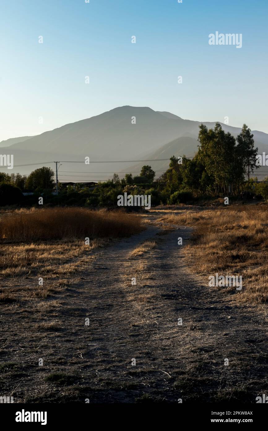 A dirt road along a grazing land at El Olivar, O'Higgins, Chile Stock ...