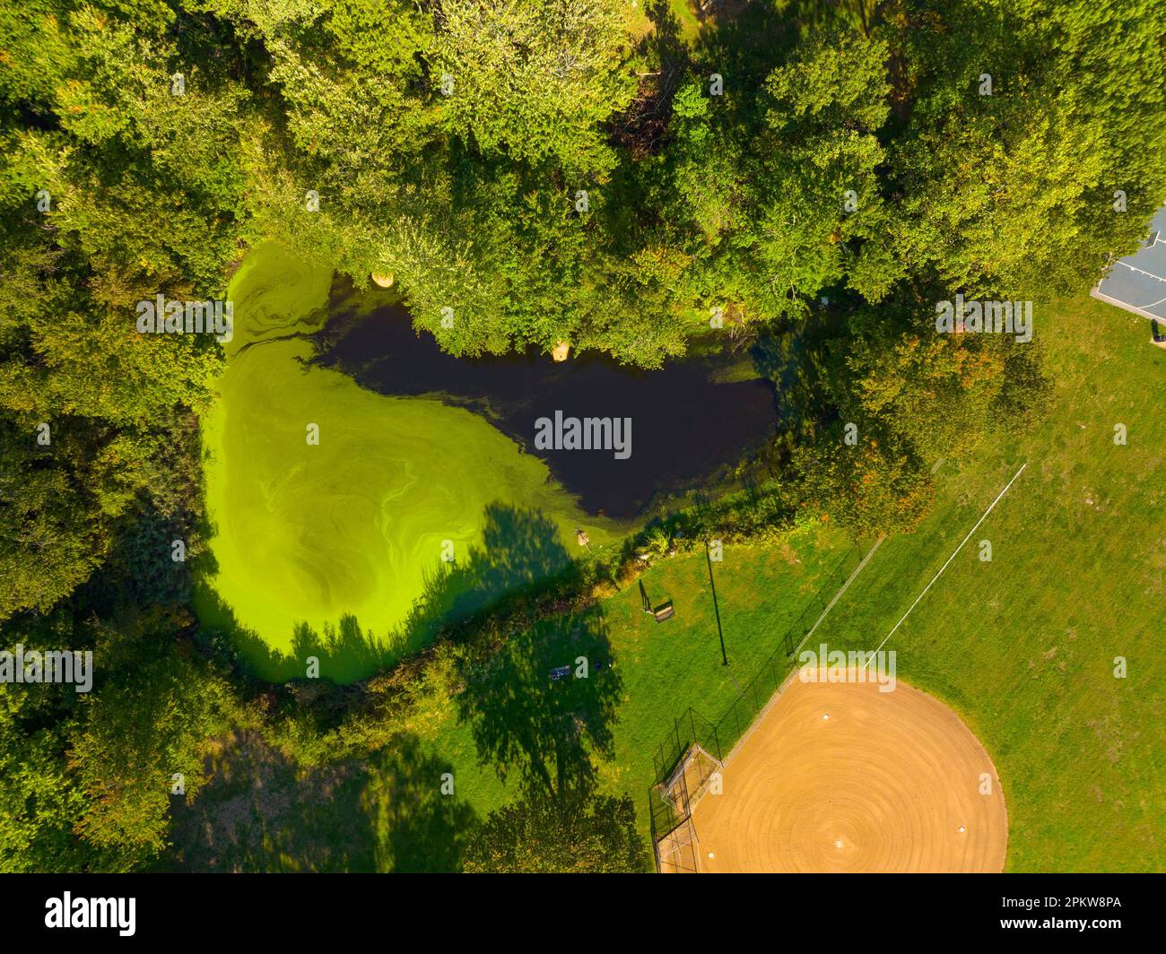 John Chanda Pond top view at John Chanda Park in town center of ...