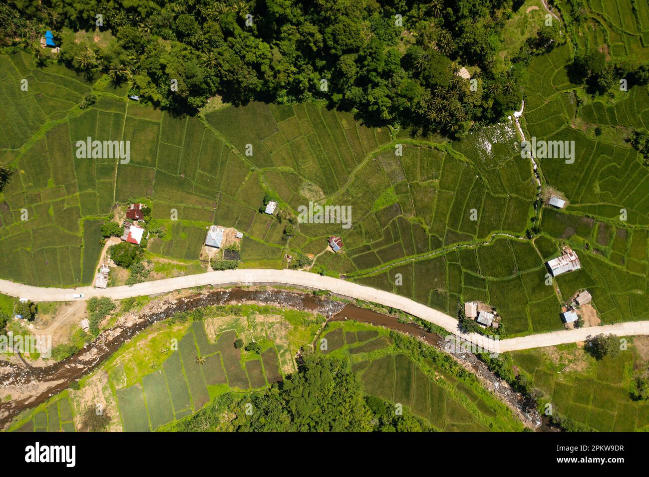 Aerial view of Farming and growing plants in rural areas of Philippines ...