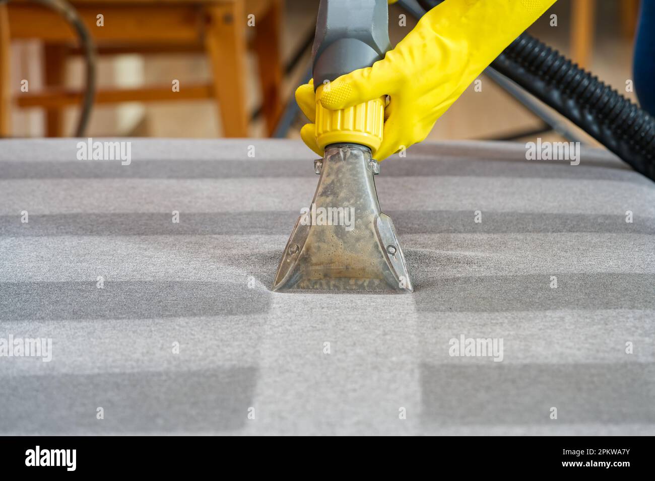 Sofa chemical cleaning with professionally extraction method. Wet ...