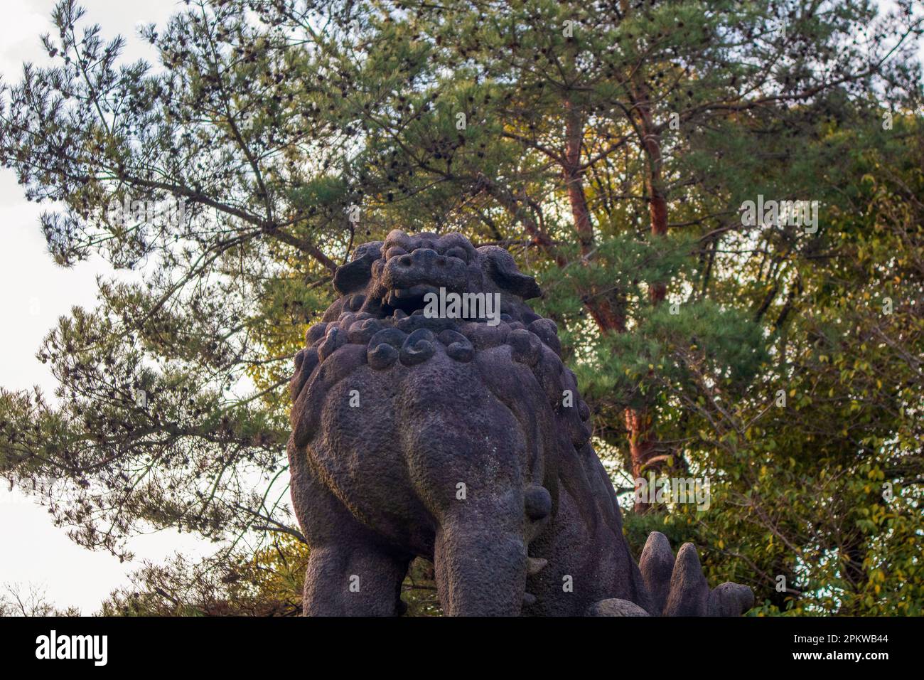 Stone lion at Toshogu Shrine in Ueno Park, Tokyo, Japan, built in 1616 ...