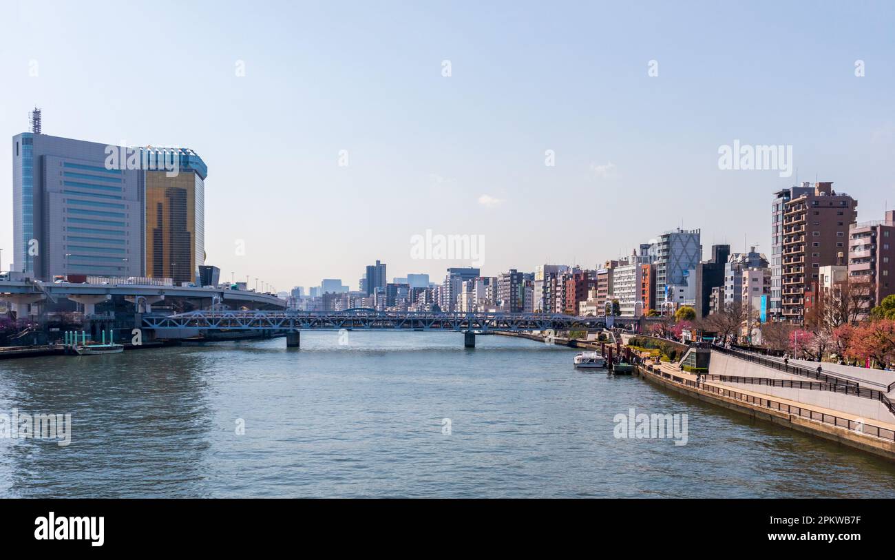 Tokyo Cityscape with Sumida River in Tokyo, Japan Stock Photo - Alamy