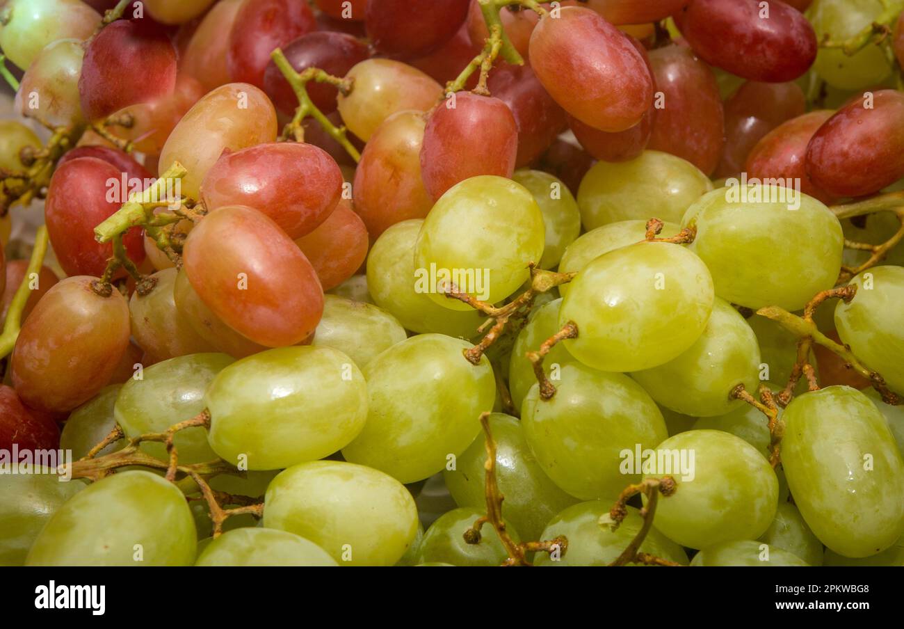 Grapes seedless seeds hi-res stock photography and images - Alamy
