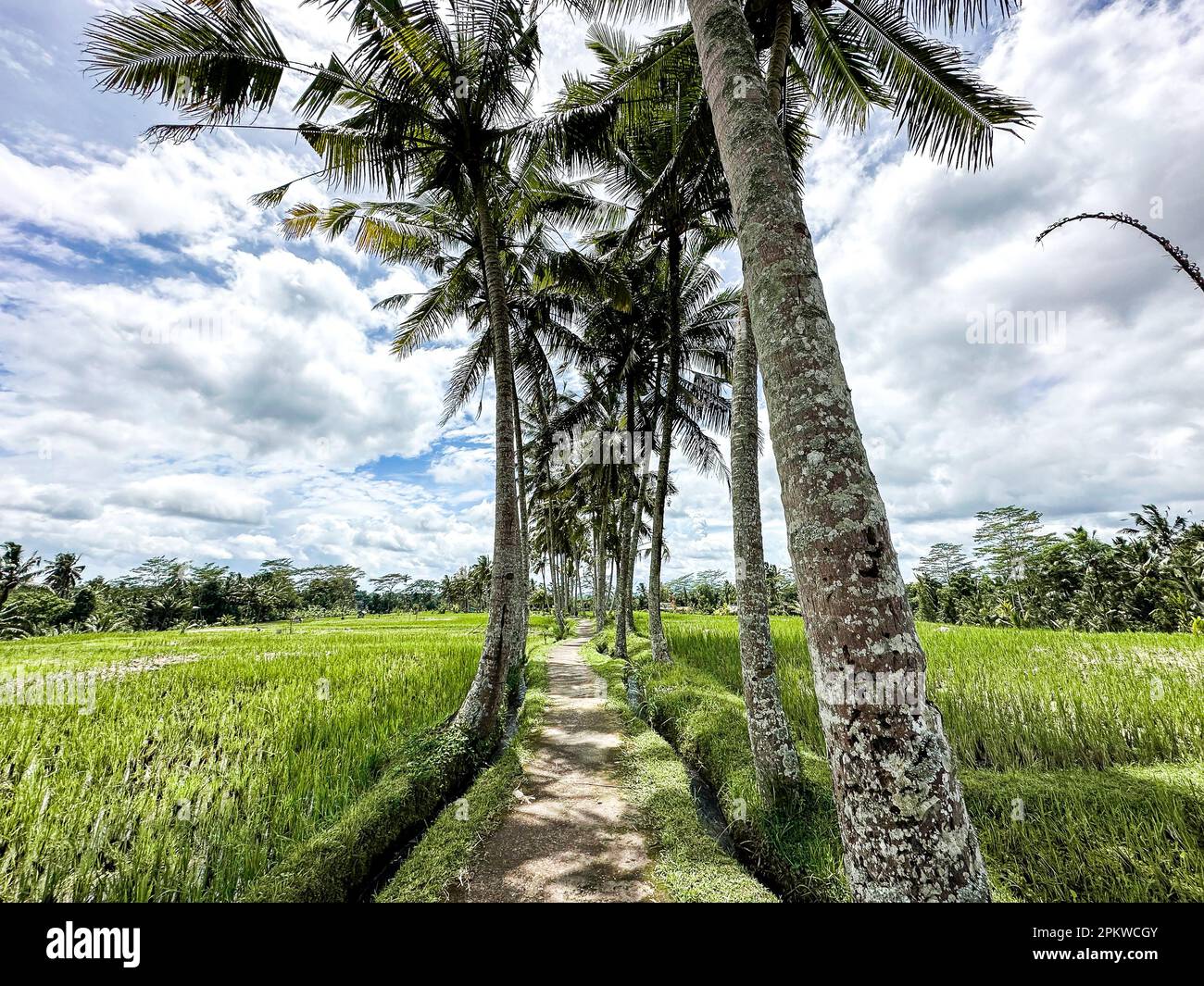 Mancingan hi-res stock photography and images - Alamy