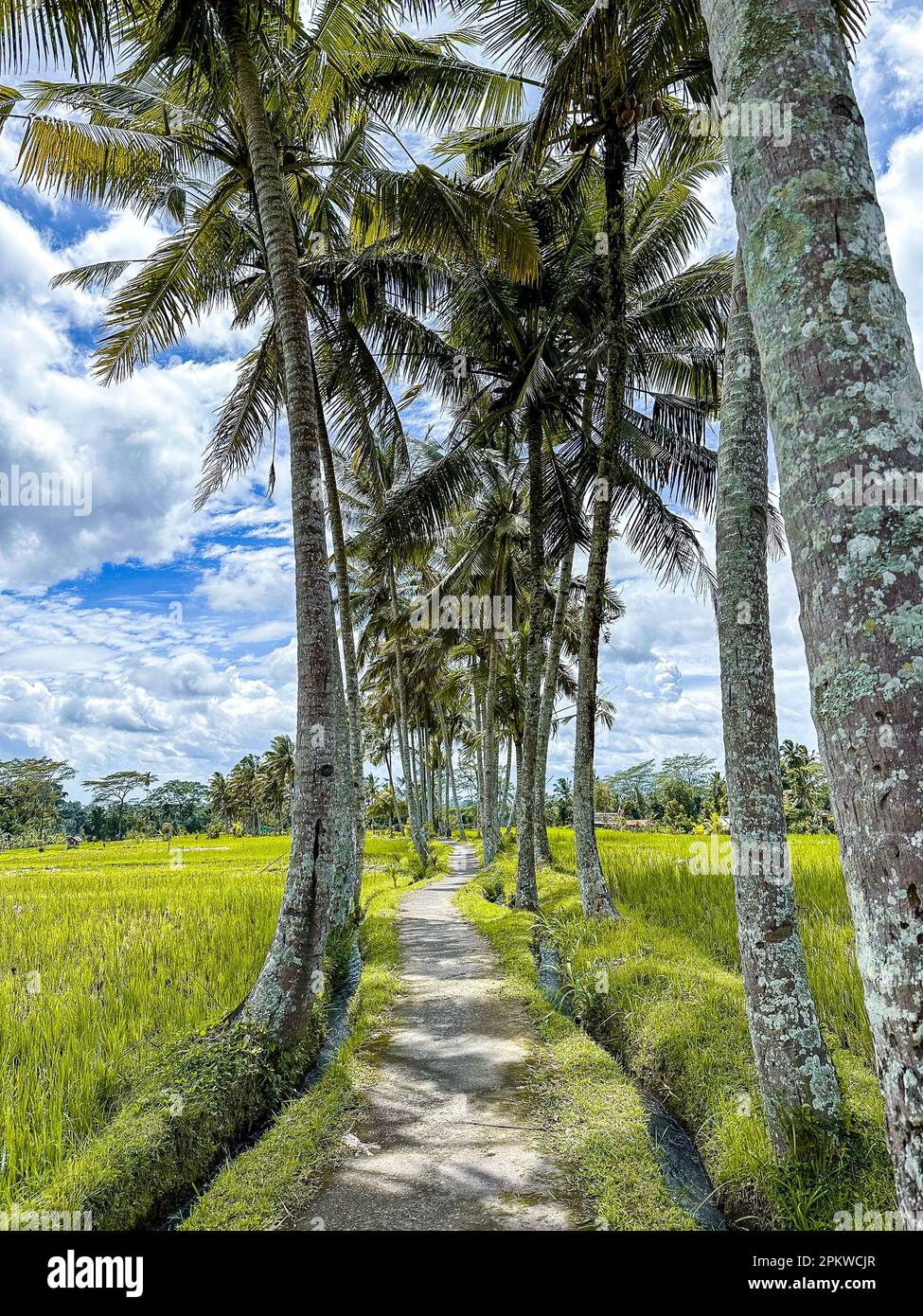 Mancingan hi-res stock photography and images - Alamy