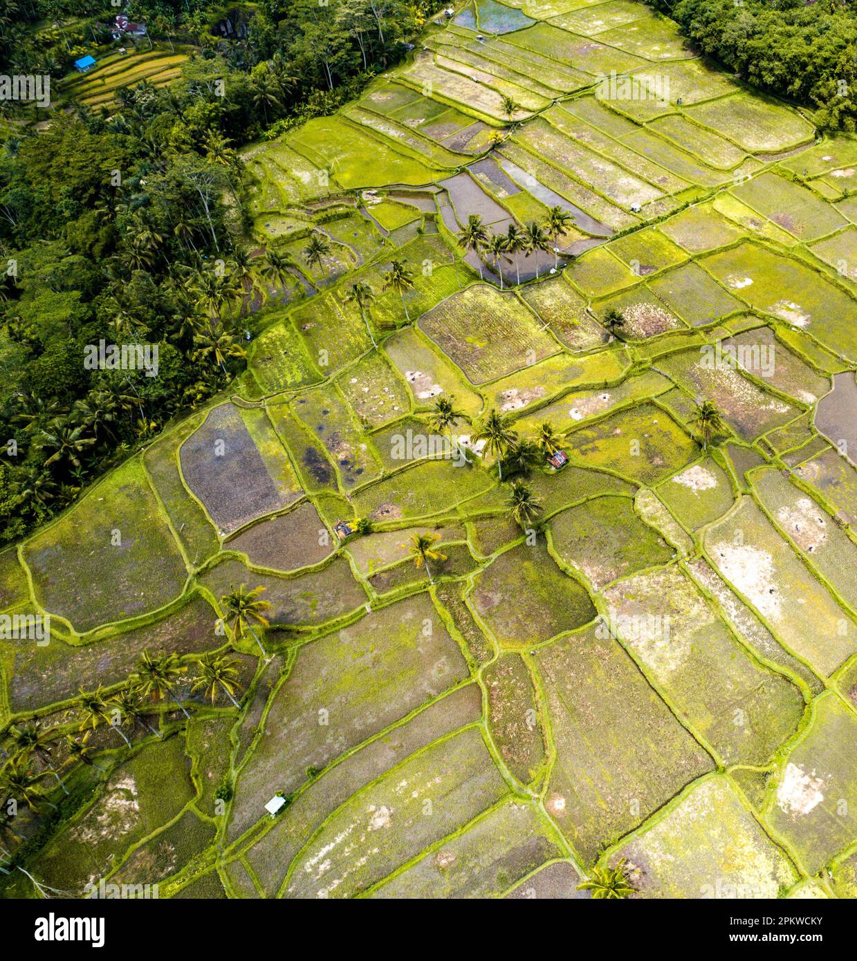 Mancingan hi-res stock photography and images - Alamy