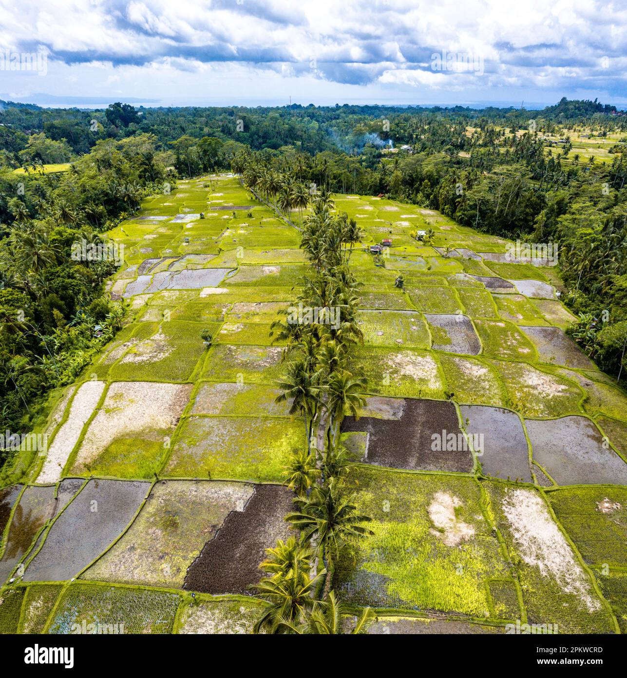 Aerial view desa mancingan rice hi-res stock photography and images - Alamy