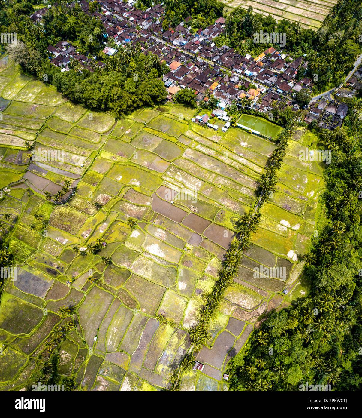 Aerial view desa mancingan rice hi-res stock photography and images - Alamy