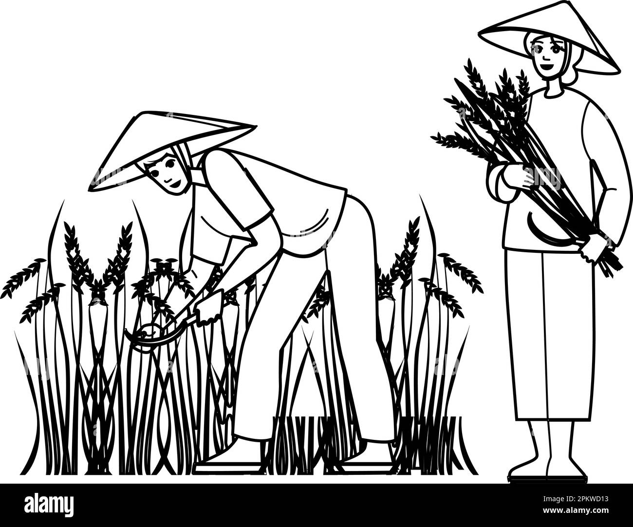 harvesting rice vector Stock Vector Image & Art - Alamy