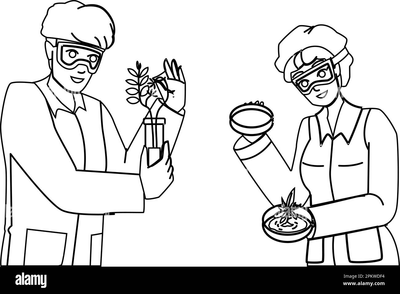 plants laboratory vector Stock Vector Image & Art - Alamy