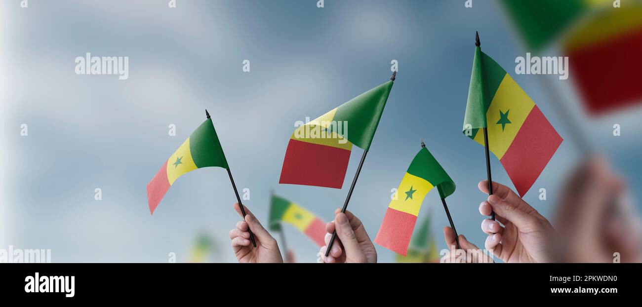 A group of people holding small flags of the Senegal in their hands Stock Photo - Alamy