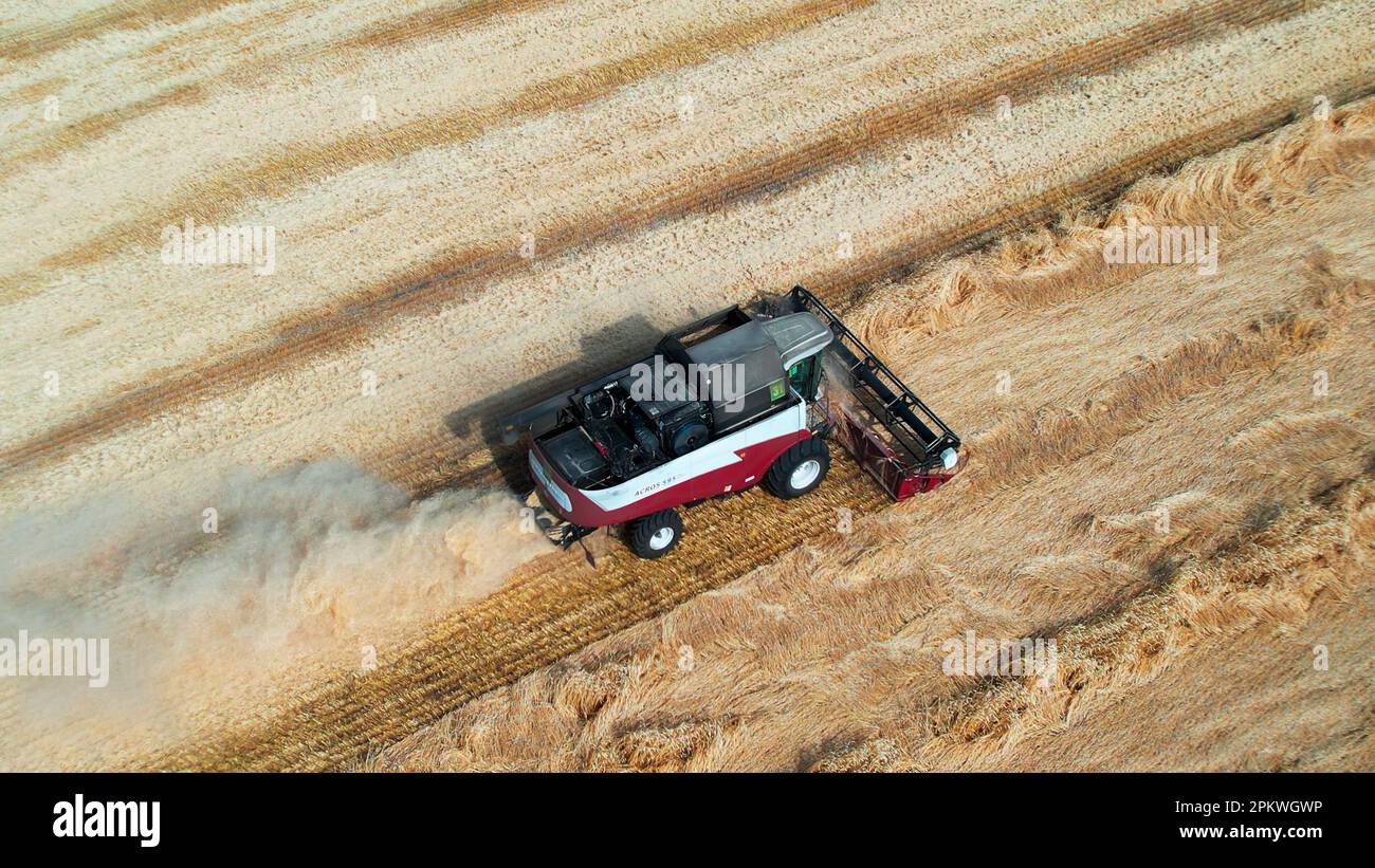 Drone aerial footage of harvesters gathering grain crops from ...