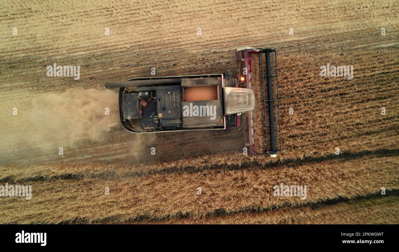 Drone aerial footage of harvesters gathering grain crops from ...