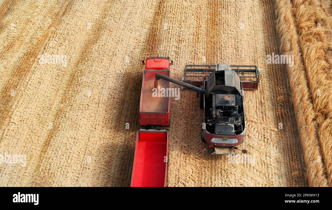 Drone aerial footage of harvesters gathering grain crops from ...