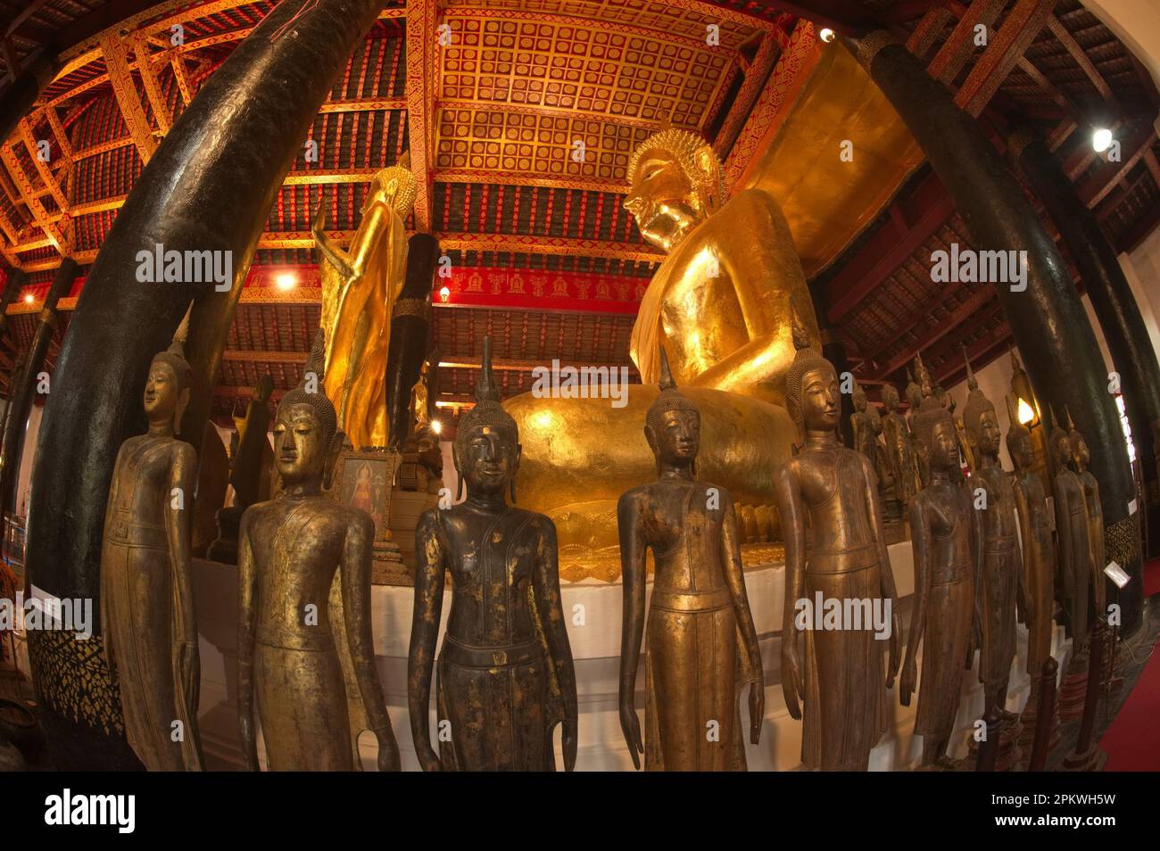 Groups of ancient Buddha images of various sizes gathered from various ...