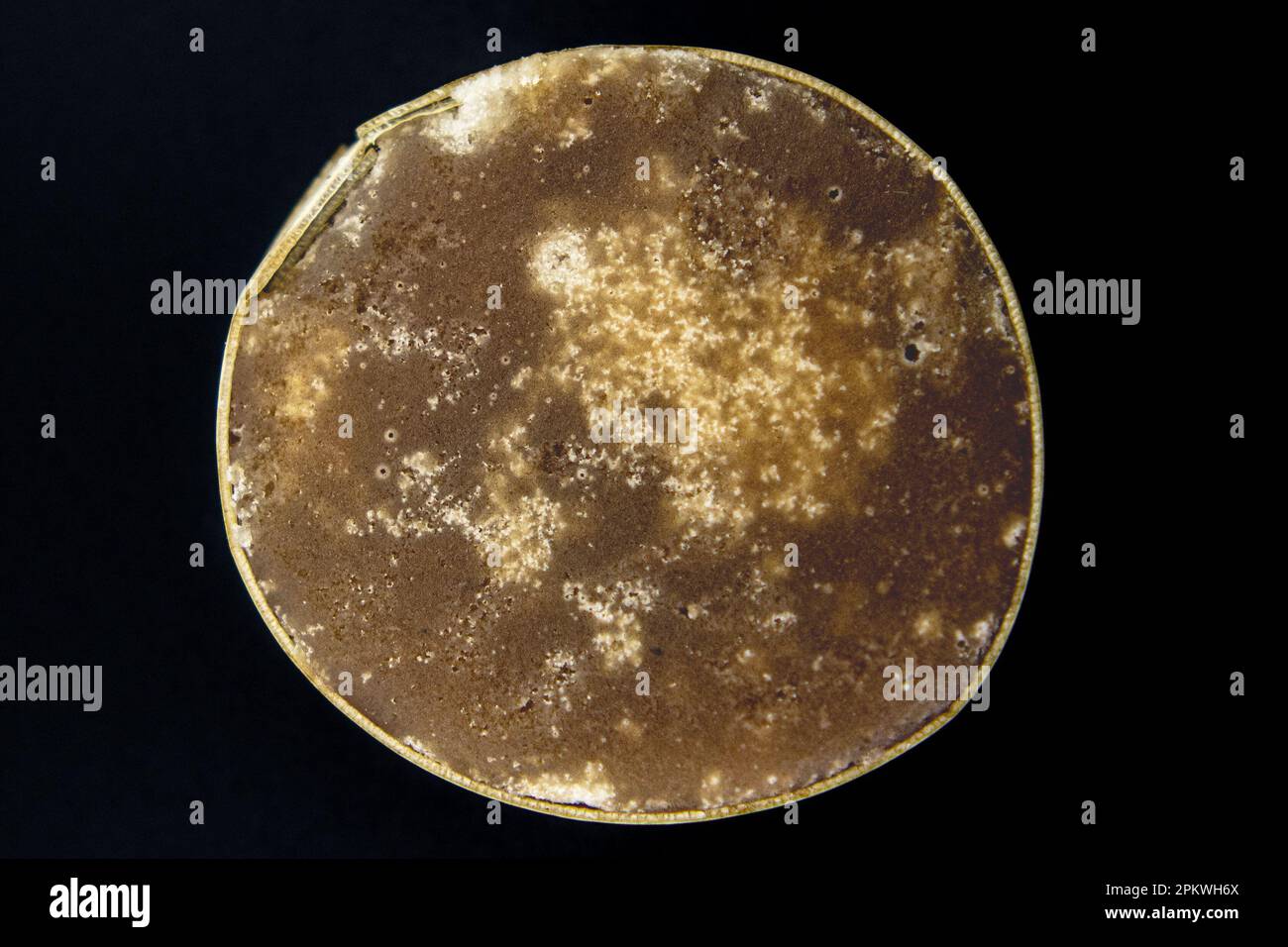 A palm jaggery isolated on black background Stock Photo - Alamy