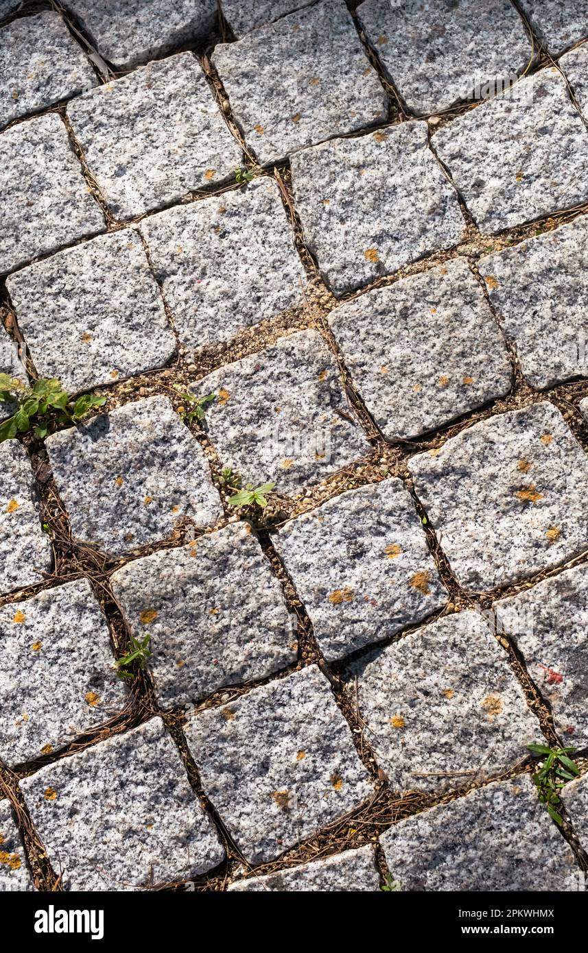 Stone pavement surface. Cobble stone road texture Stock Photo - Alamy